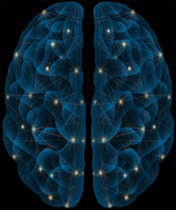 Brain Brilliance at Any Age: The Nutriop Longevity Edge